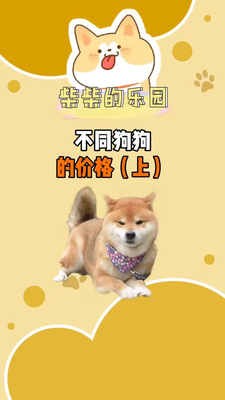 有想要了解狗狗价格的评论告诉我啊