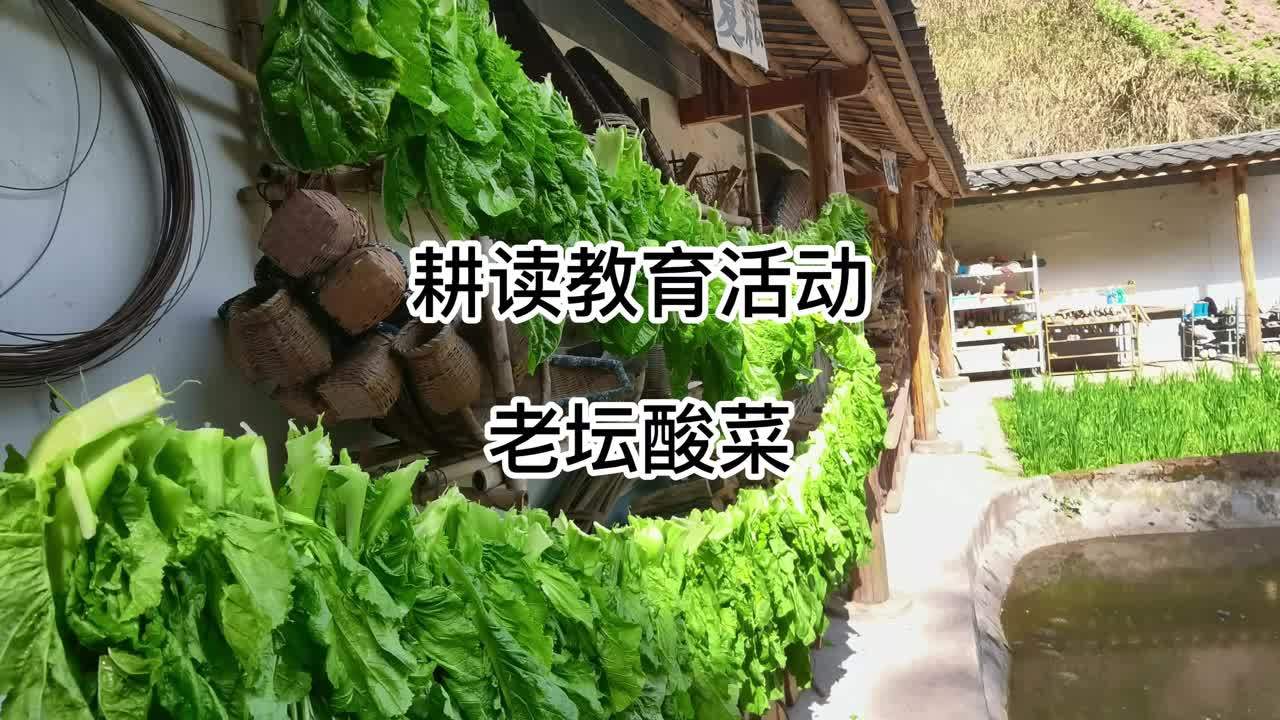 ...耕读教育 劳动最光荣 民间传统美食 我的乡村生活 记录幼儿园的点点...