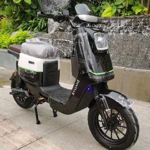 广州深远电动车 