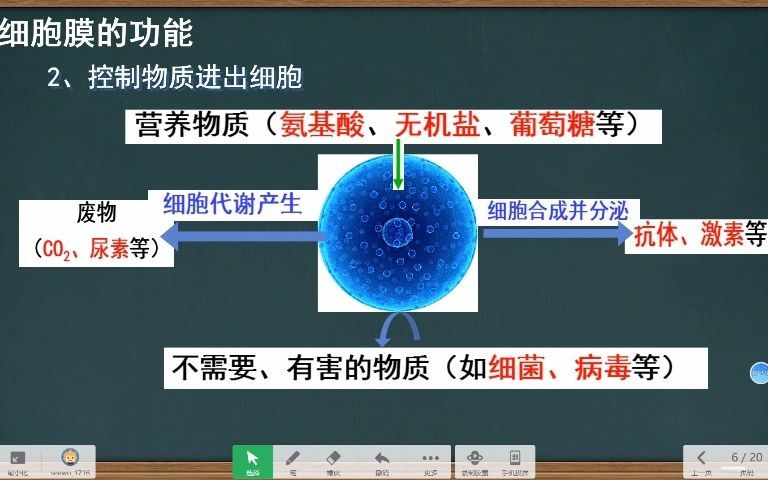 细胞膜的结构和功能第一课时