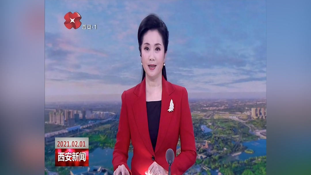 市两会开启"代表委员通道"四名市政协委员接受媒体集中采访