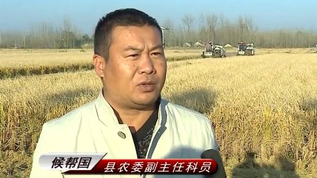 县农委召开水稻生产全程机械化现场会