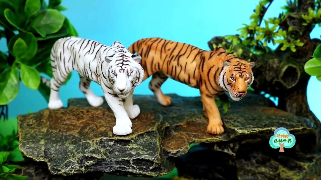 动物园丛林世界 第1集 岩石上的老虎