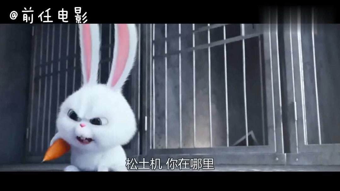 一部反差萌动画,两条宠物狗流落街头,竟被一只兔子吓到!