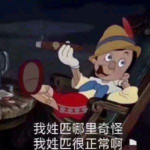 XP系统研究员 
