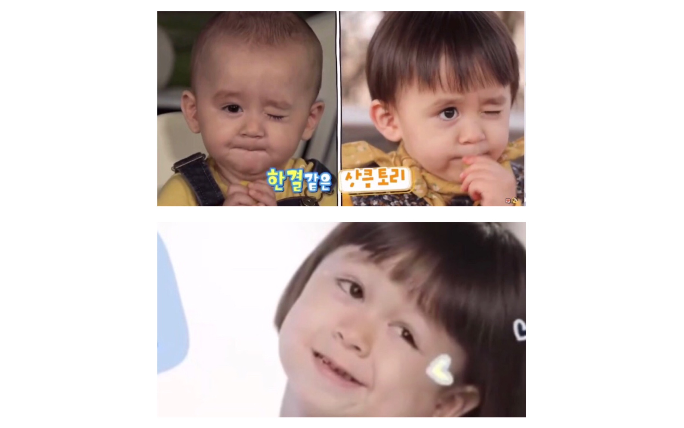 看威廉和本特利眨眼 能看一整天 wink wink