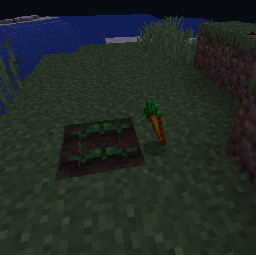 carrot-minecraft 