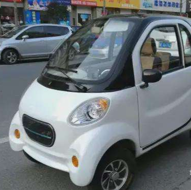 老头乐电动 