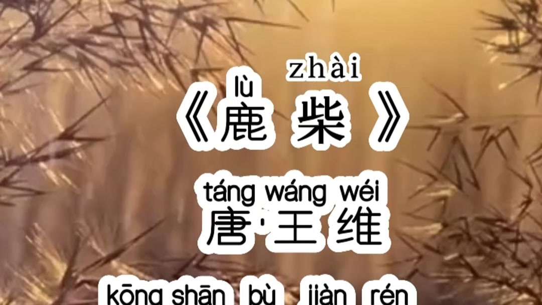 《鹿柴》唐·王维,拼音版,小学生必背古诗词