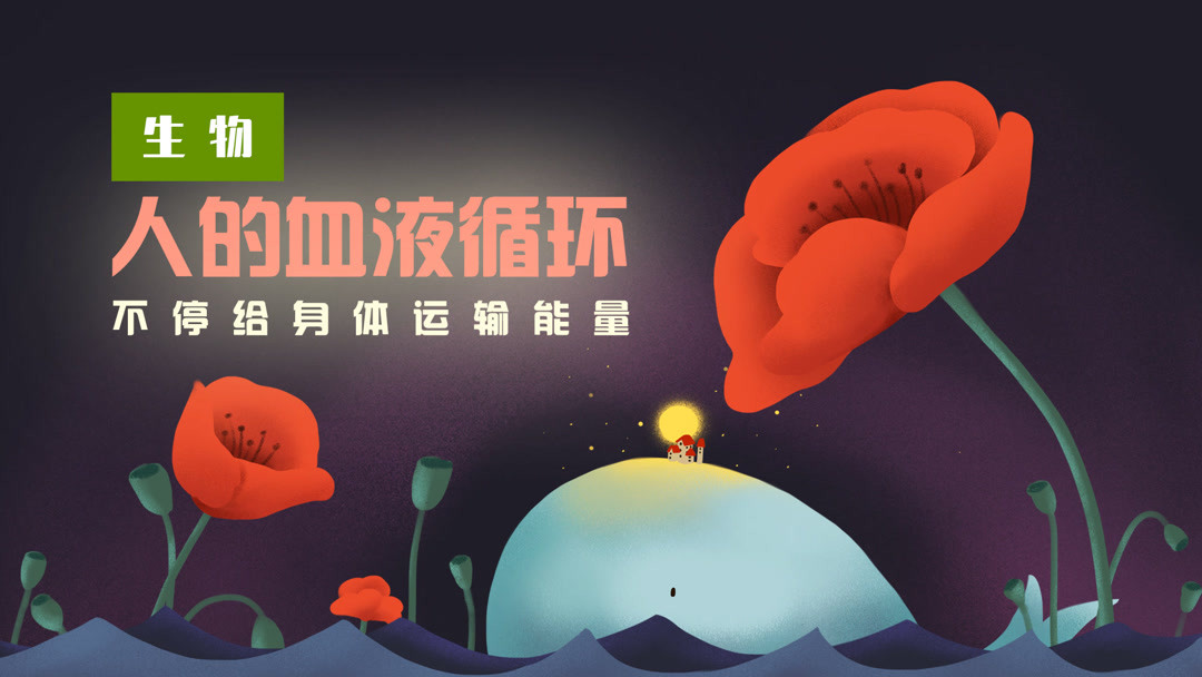 孩子最喜欢的生理小实验-血液循环的秘密