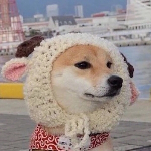 王小静的秋天 