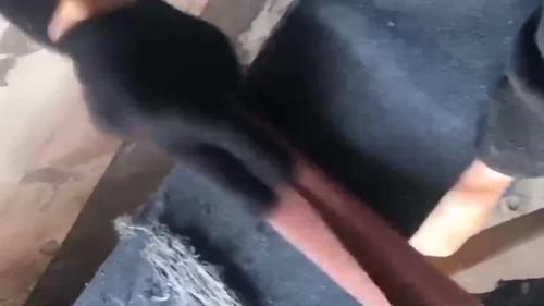 牛仔裤上的破洞是这样做的,真是长见识了!