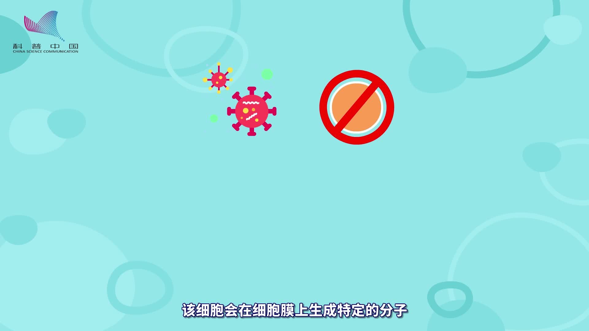 被动防疫的关键是抗体?听专家讲疫苗和抗体的关系