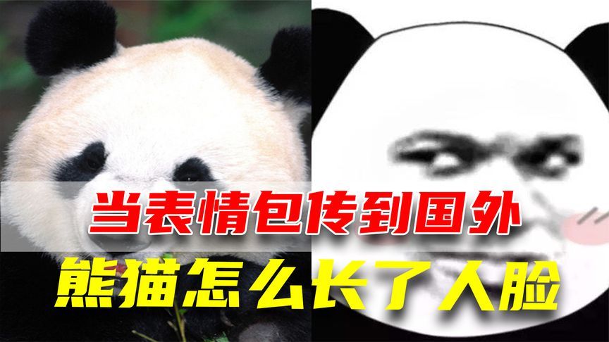 发出你手机里的熊猫表情包!!!