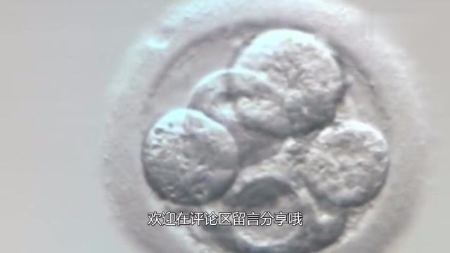 女性上环手术是如何完成的?镜头拍下全过程,隔着屏幕都觉得疼