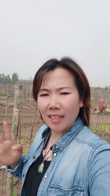 零成本操作认养预售农业模式