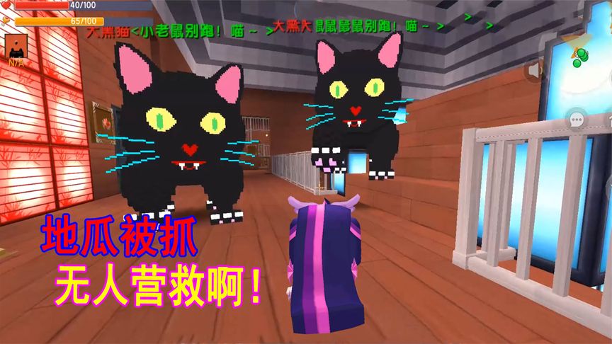 迷你世界:小宇家族困老鼠洞没有食物,地瓜被黑猫抓住无人营救