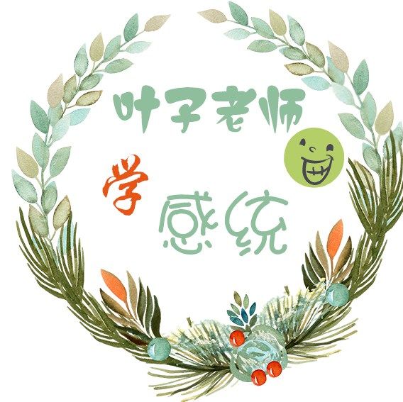 跟着叶子老师学感统 