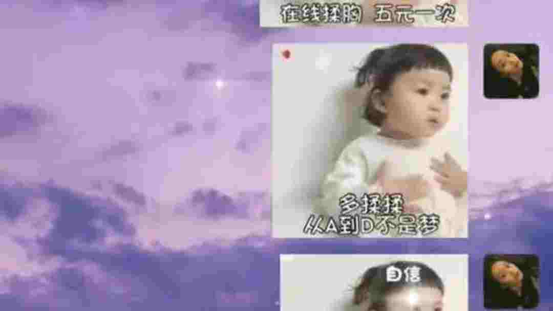 微信QQ通用的污污表情包
