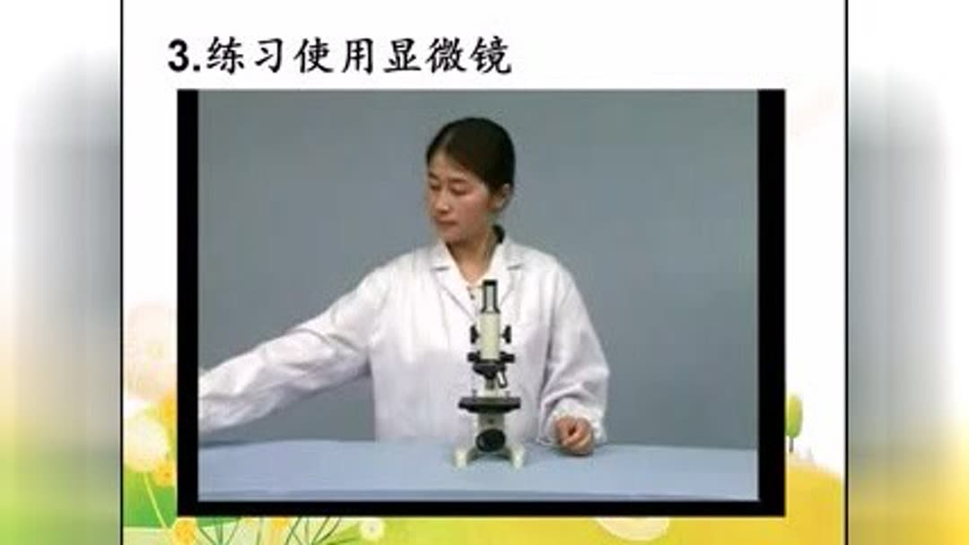 微课—学习使用显微镜-杜轩