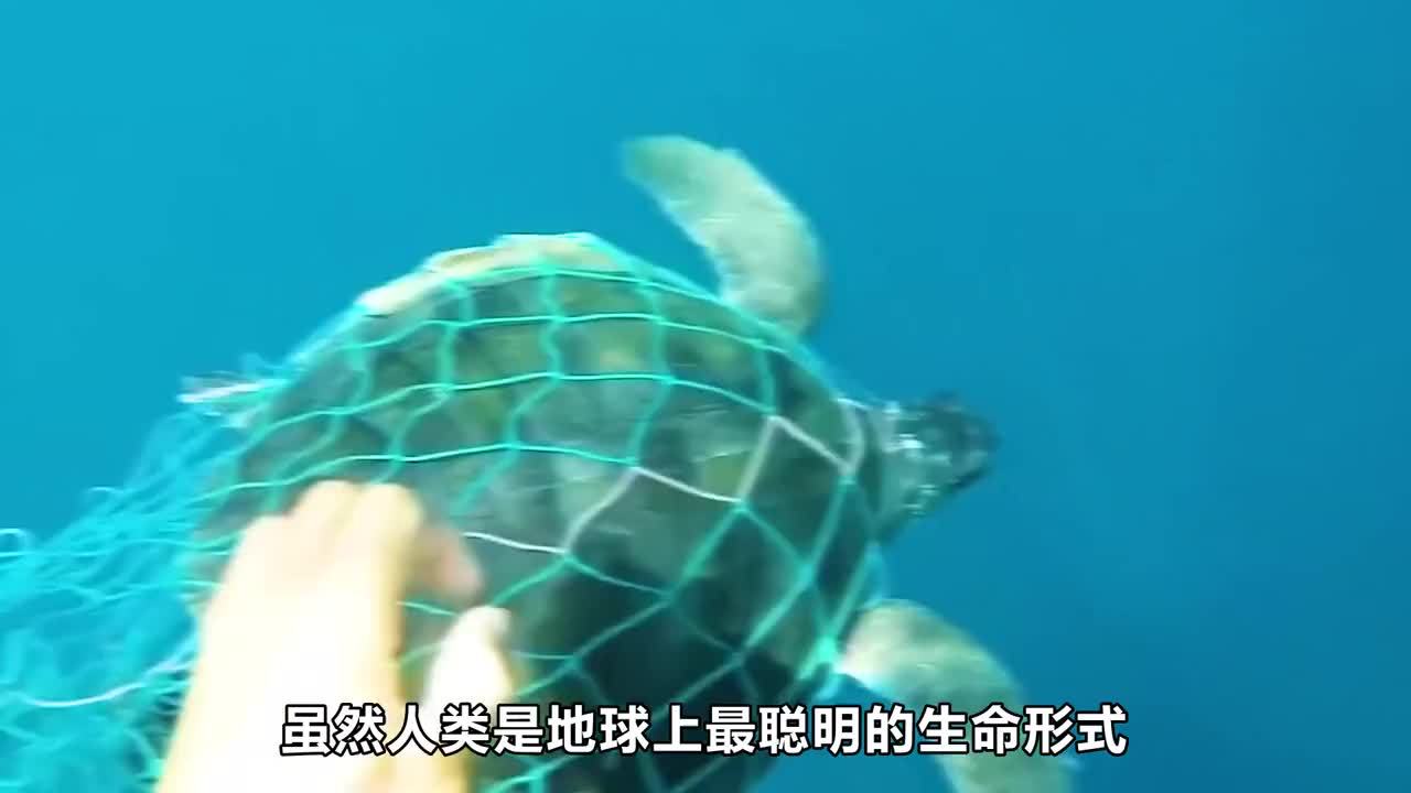 动物的表现好过人类的27个瞬间!