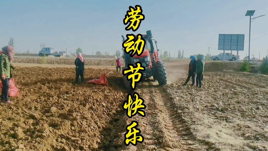 #2021新农人计划 #劳动节 祝所有劳动人民节日快乐!