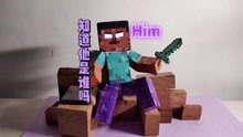 史蒂夫跟him的区别在哪?我的世界him手工