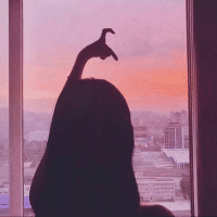 张明政说说娱乐 