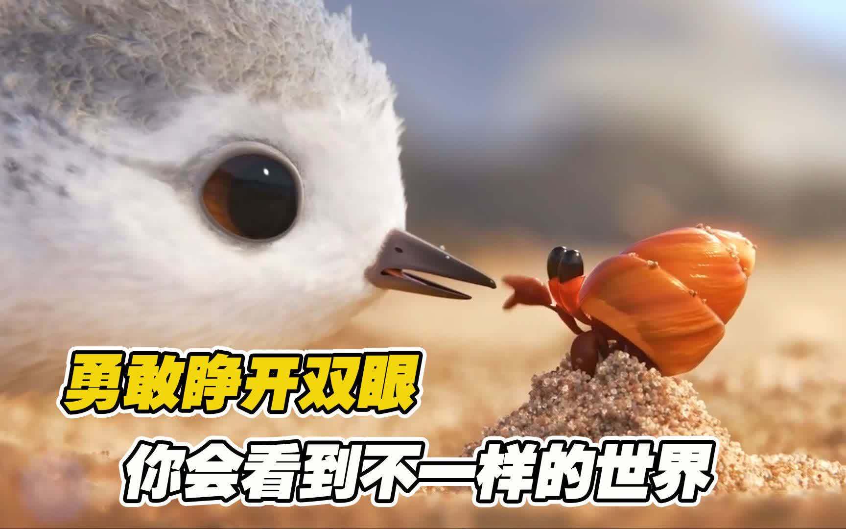 萌化了!奥斯卡励志动画短片,治愈心灵