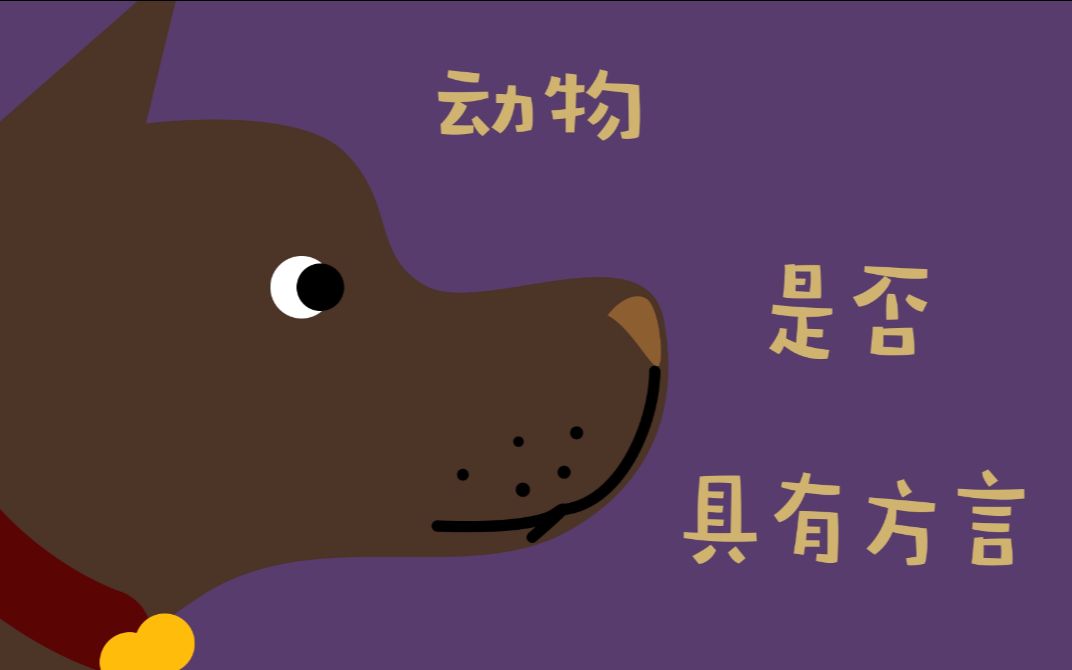 【MG动画】动物是否具有方言|厦门大学嘉庚学院动画课程练习