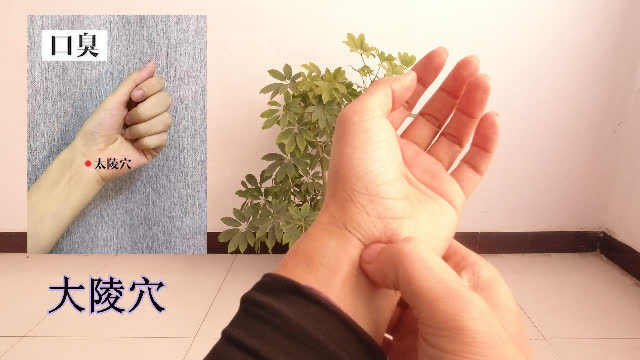 手腕有个“大陵穴”,每天按一按,缓解口臭,改善睡眠
