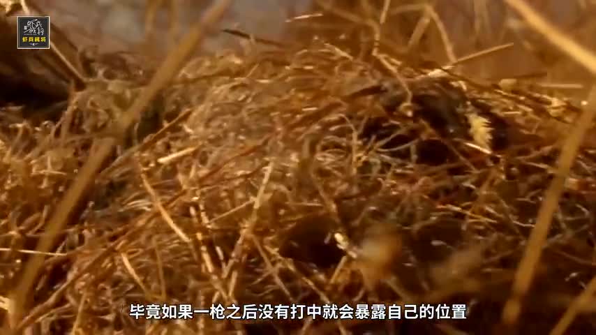 从狙击枪的瞄准镜里看1000米外景物,会是什么效果?狙击手不容易