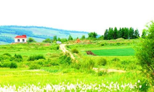 谈情说爱看看剧 