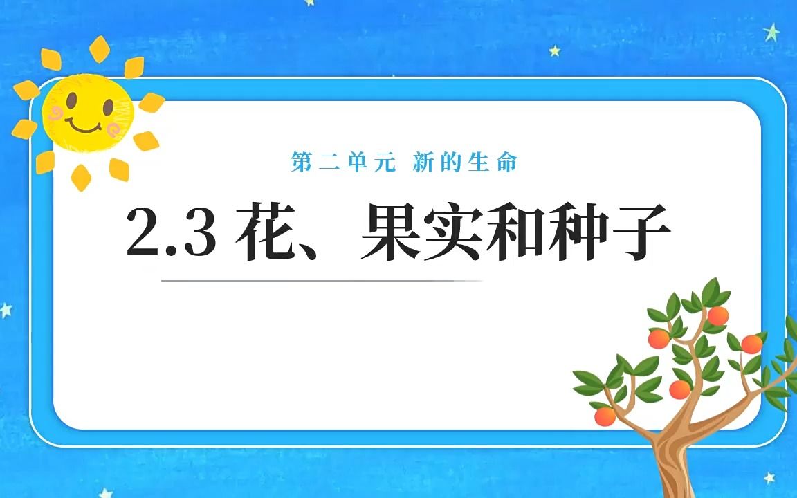 教科版四年级下册花、果实和种子课件PPT模板