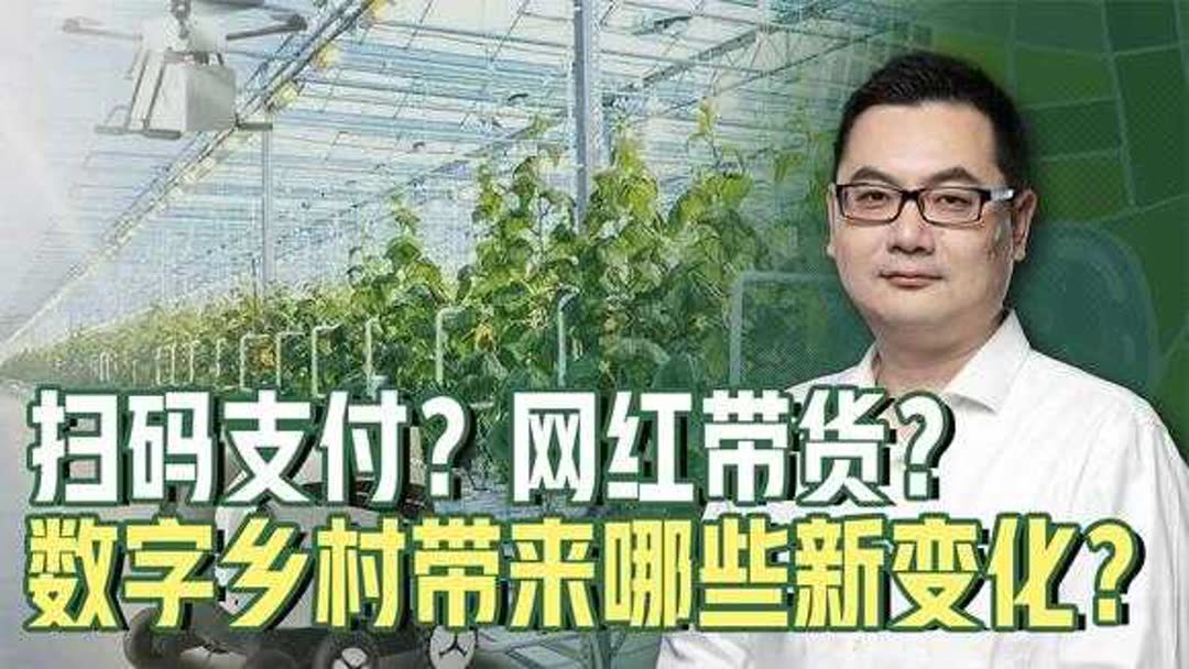 十四五规划里国家下一个重点战略的数字乡村,究竟是什么?