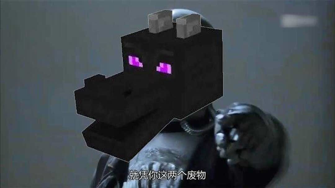 末影龙:你tm玩不起?我的世界数据包