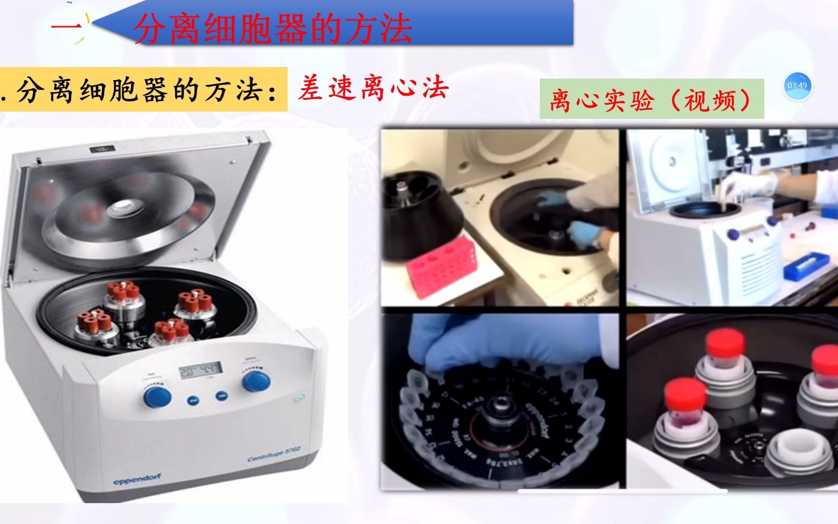 细胞器第一课时