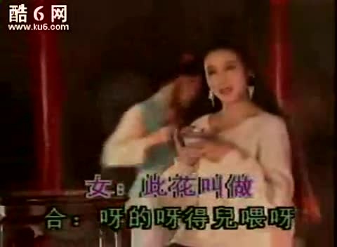 黄梅戏《对花》〔打猪草选段
