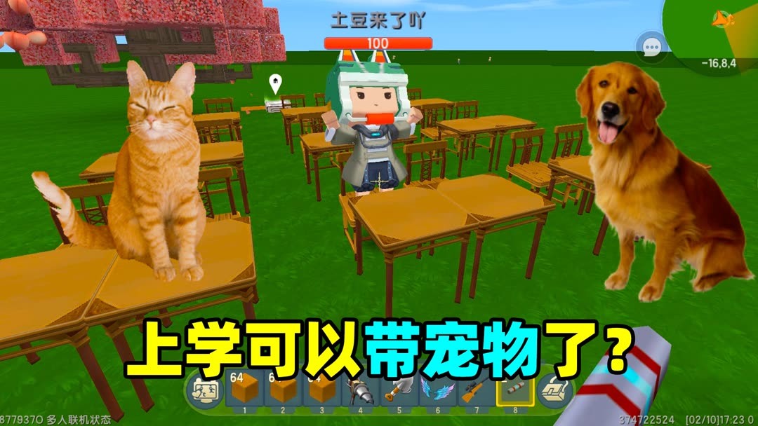 迷你新春冒险:上学竟然可以带宠物!你们学校是怎么规定的呢?