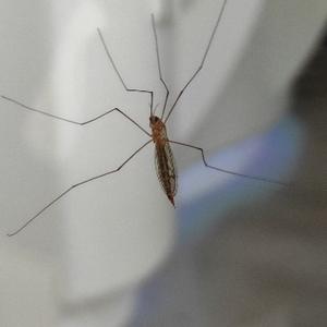 北漂拍客孟开心 