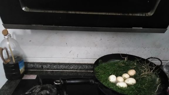 三月三荠菜煮鸡蛋,你老家有这风俗吗?清热利湿明目小孩吃特别好