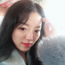 易飞特全优李老师 