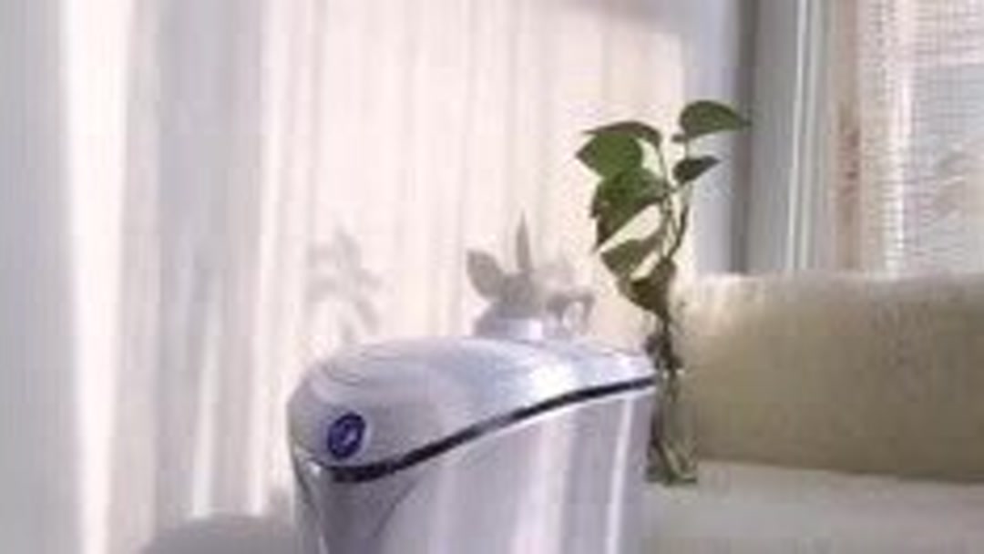 敏感皮肤diy大白菜面膜