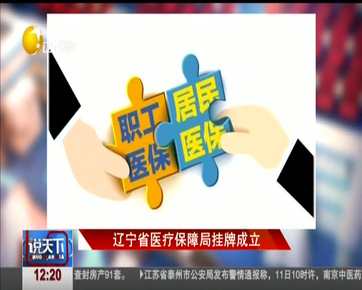 辽宁省医疗保障局挂牌成立