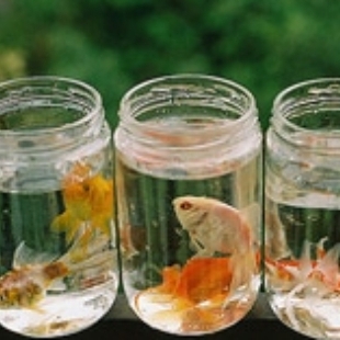 弥勒佛1478478886950438 