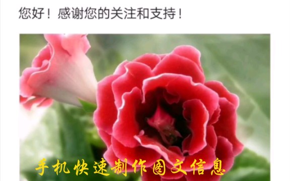 利用手机备忘录,快速制作图文信息,并以图片形分享至微信。