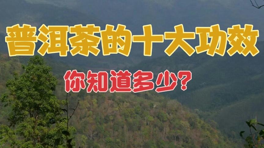 『普洱茶的十大功效』你知道多少?【建议收藏】