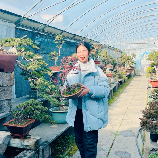 青澜园盆景地景庭院树 