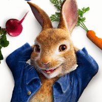 搞笑萝卜兔的奇趣视频 