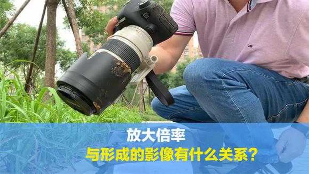 每支镜头都有放大倍率,跟形成的影像有什么关系?实操跟大家分享